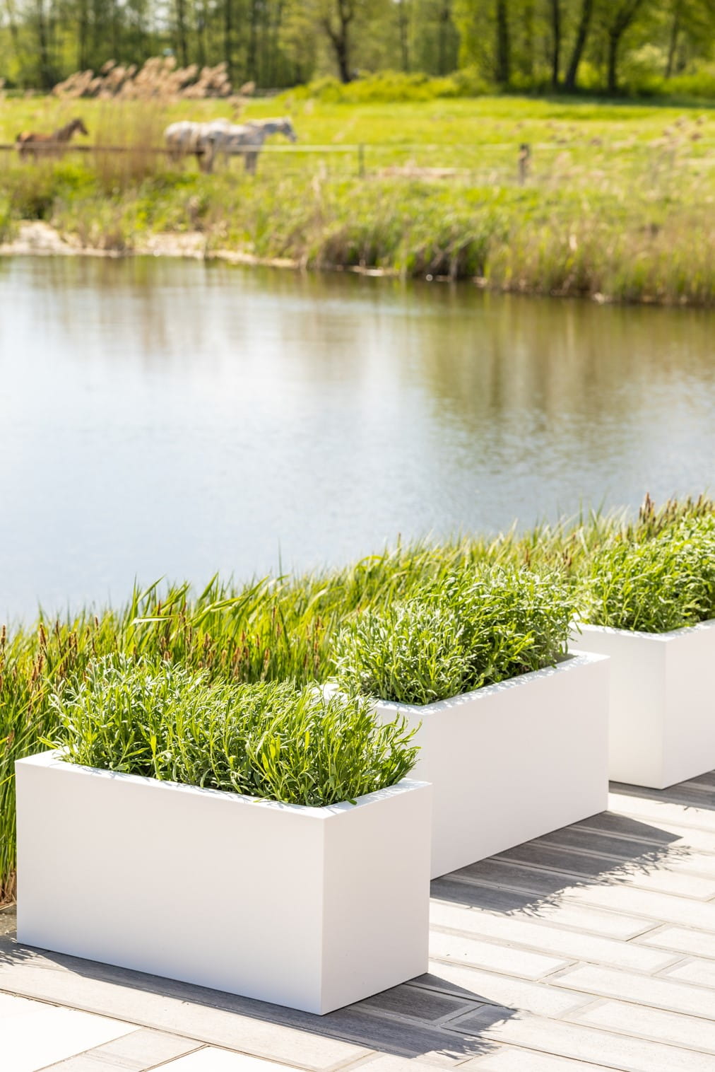 Zestaw 3 Podłużnych Donic Monumo Lungo szara z wewnętrzną półką - Monumo